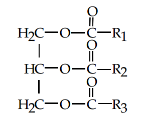 Mengenal Asam Lemak dan Macam-macam Asam Lemak - SERBA SERBI
