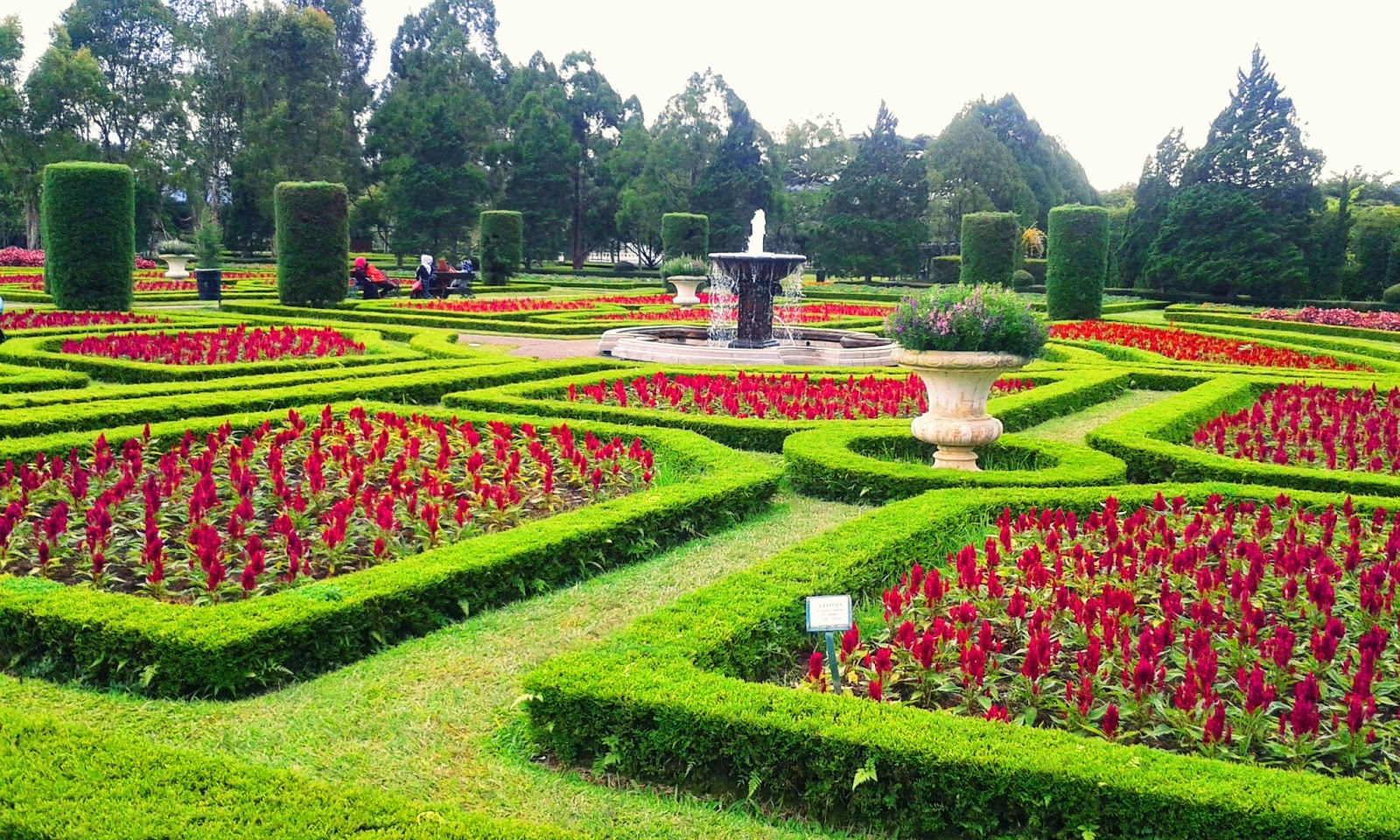 S O F I A | Z H A N Z A: Taman Bunga Nusantara: Di Indonesia Sensasi Eropa