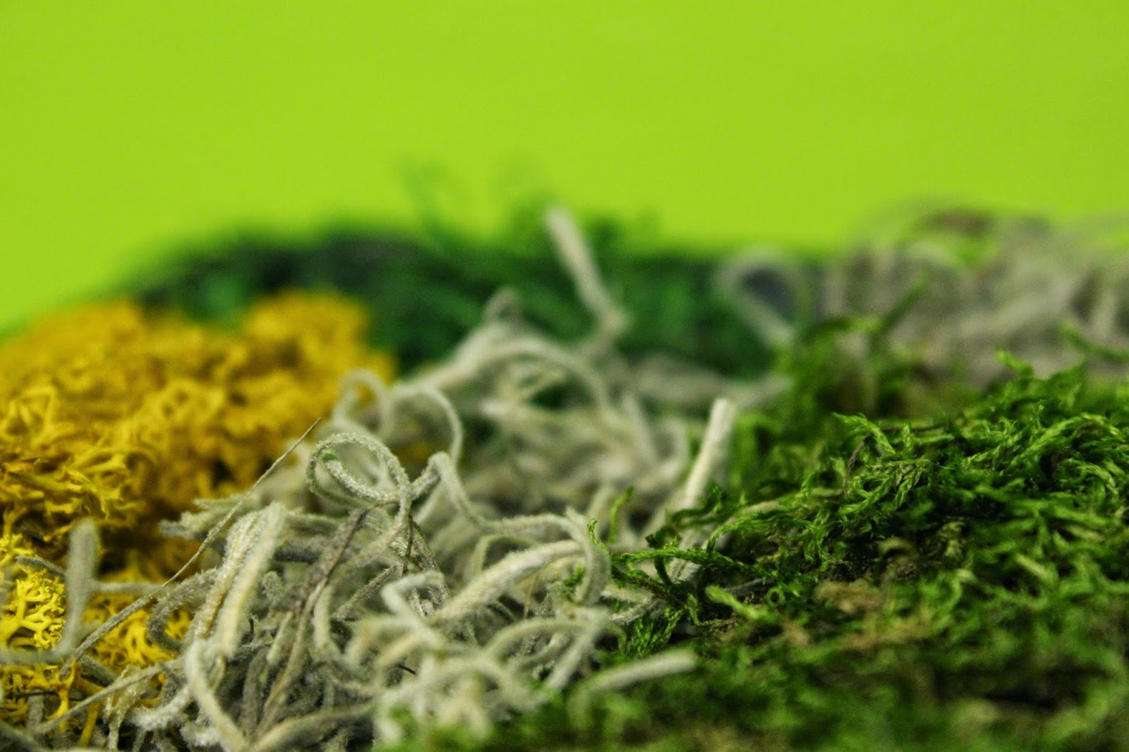 Texture and Color: Moss Assortment Designed in Stackable Boxes