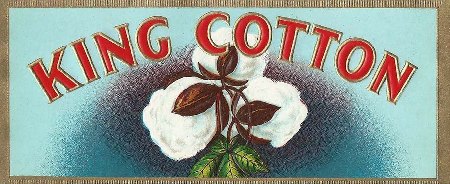 Civil War Quilts: Quilts "In War Time" #2: King Cotton