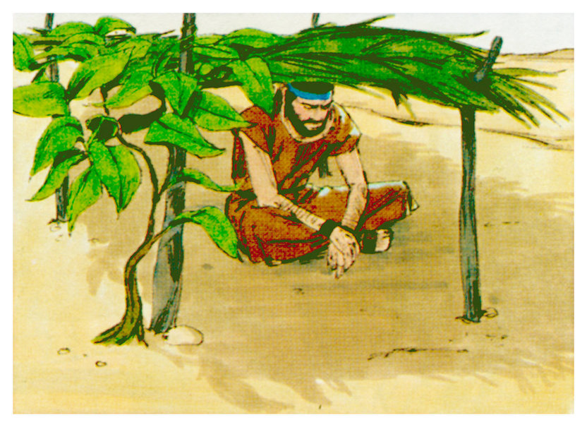 TEOLOGÍA DE MENOS A MAS: LA ENRAMADA DE JONAS