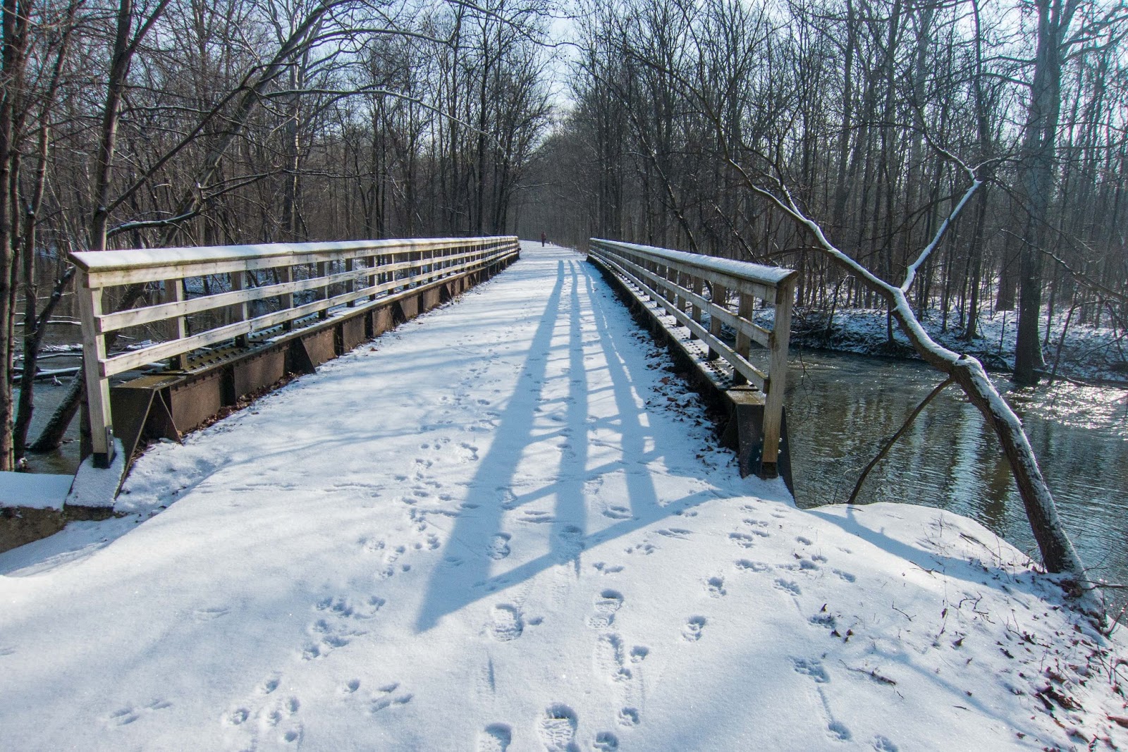 Eric's Hikes: North Country Trail between Middleville and Barry State ...