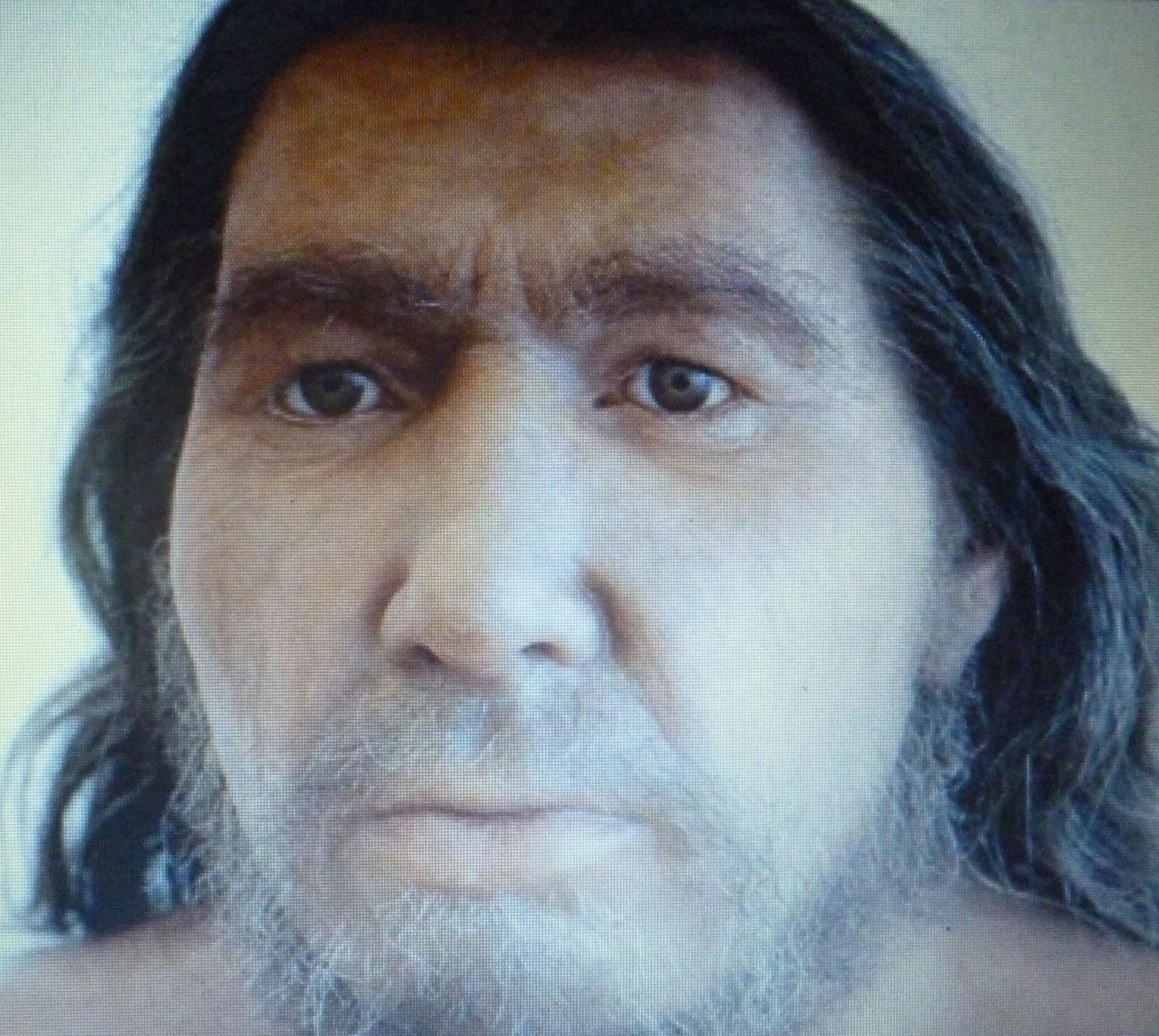 LUIS TRIMANO - Arte Gráfica: ARTE DO NEOLÍTICO