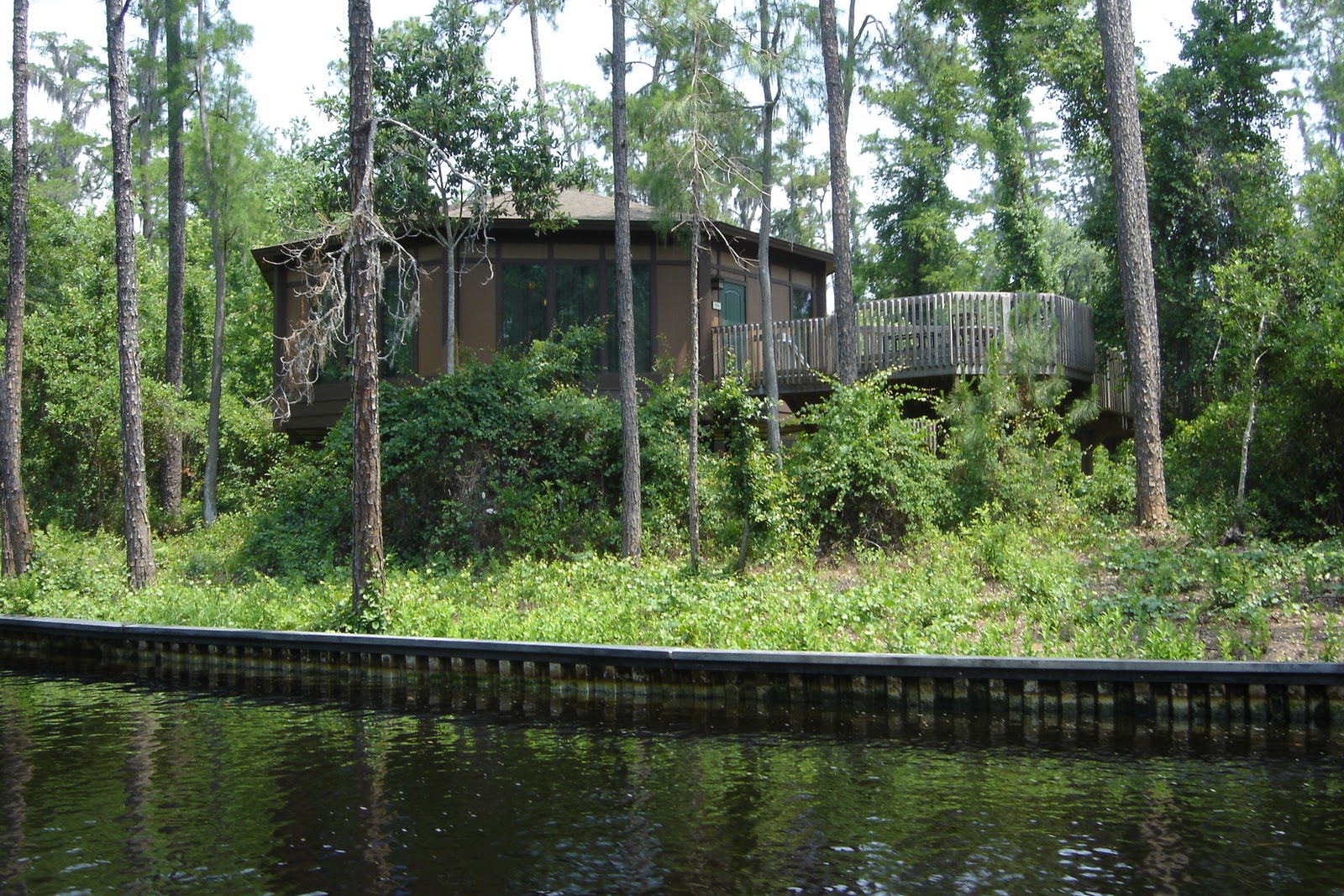 Disney Vacation Kingdom: Treehouse Villas