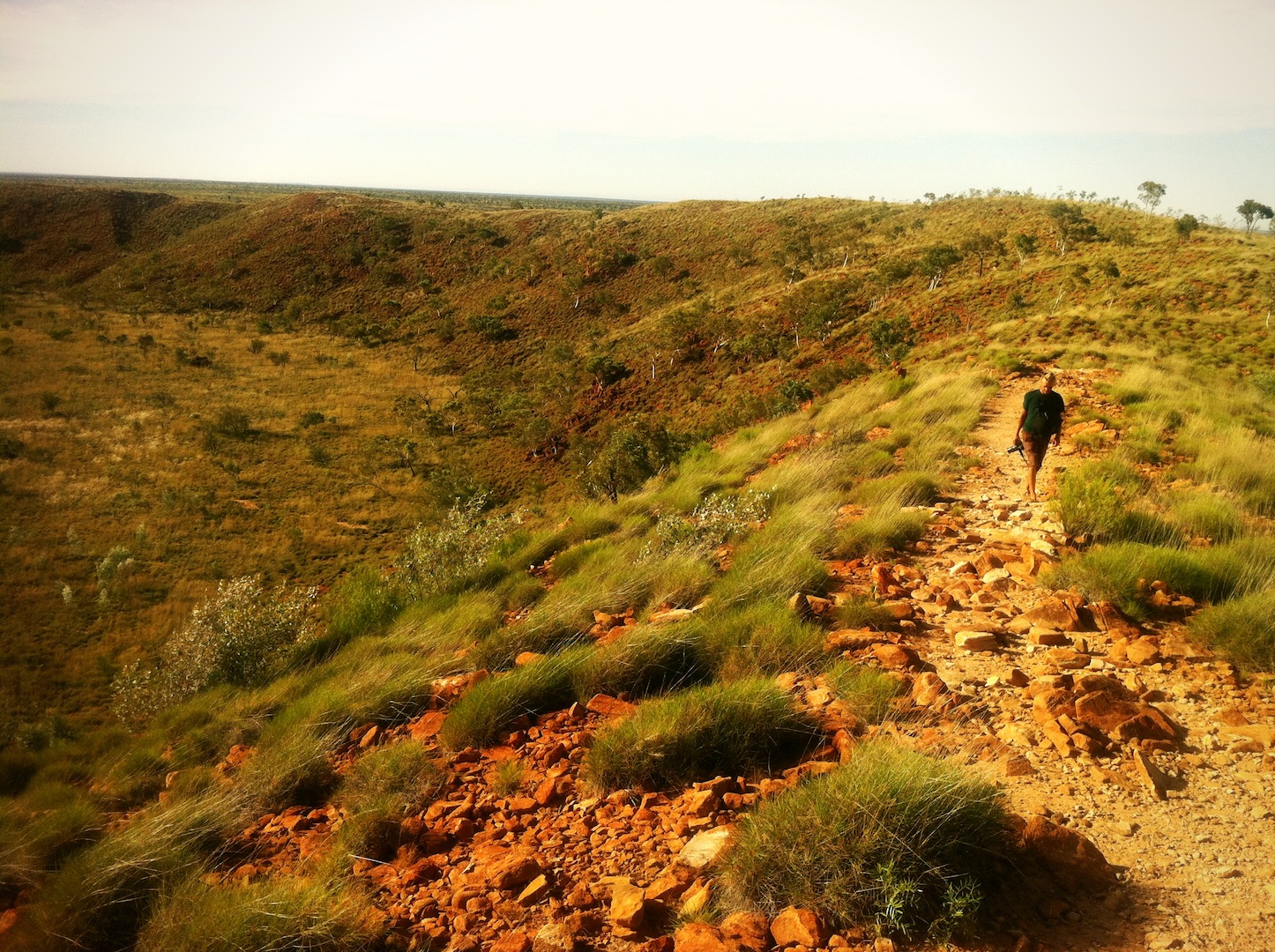 The winding mind: Tanami desert crossing