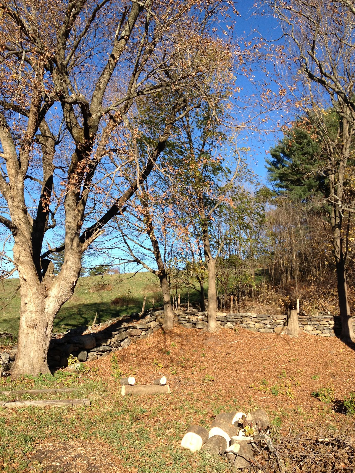 EcoHouse at Spring Valley Student Farm: Emergency Update