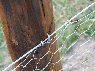 An English Homestead: Rabbit Proof Fence