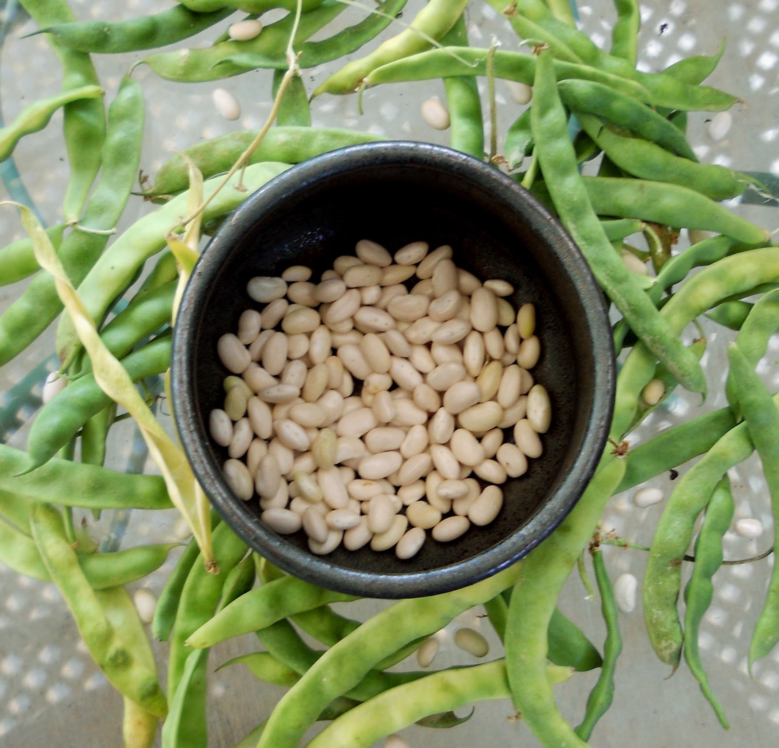 A Kitchen Garden in Kihei Maui: A Kihei Garden Newsletter for May - June