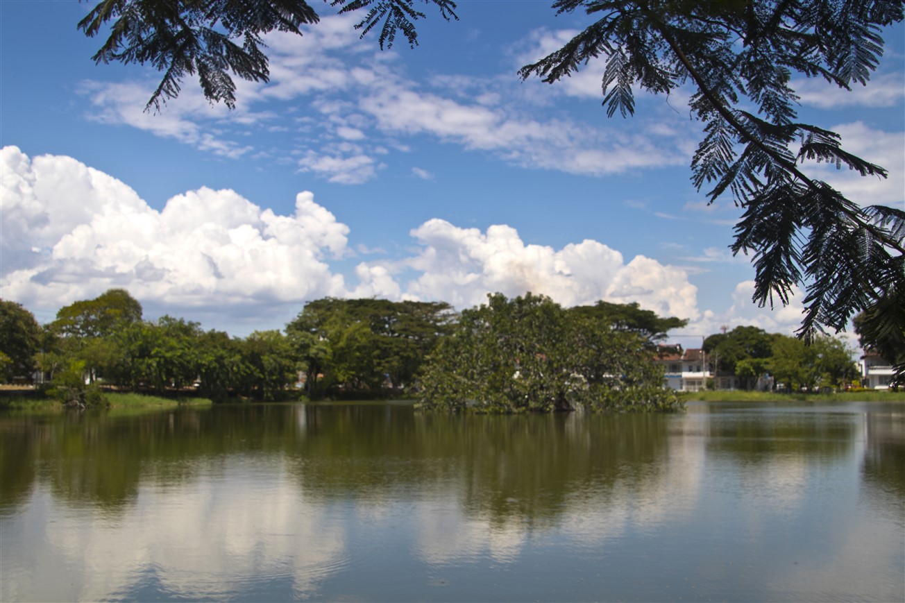Souvenir Photo Studio, by Al Bourassa: Sunday Jan 27, 2019 Lago Chilicote