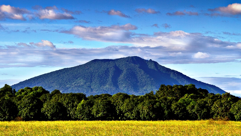 Bundok Arayat