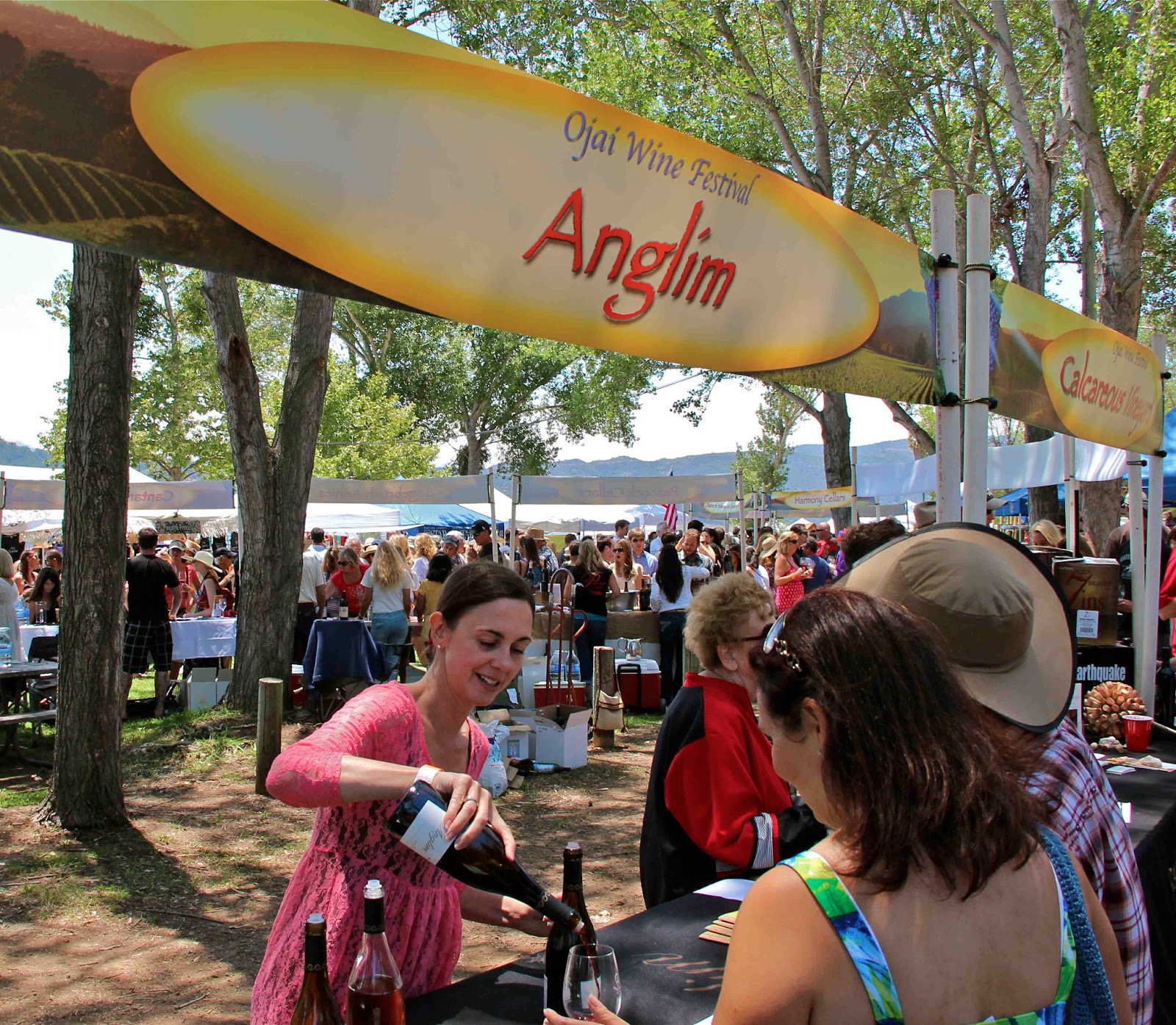Taste N Trip: Ojai Wine Festival 2013