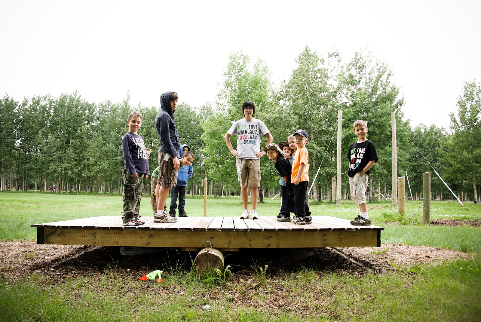 Whale Watch - Activity