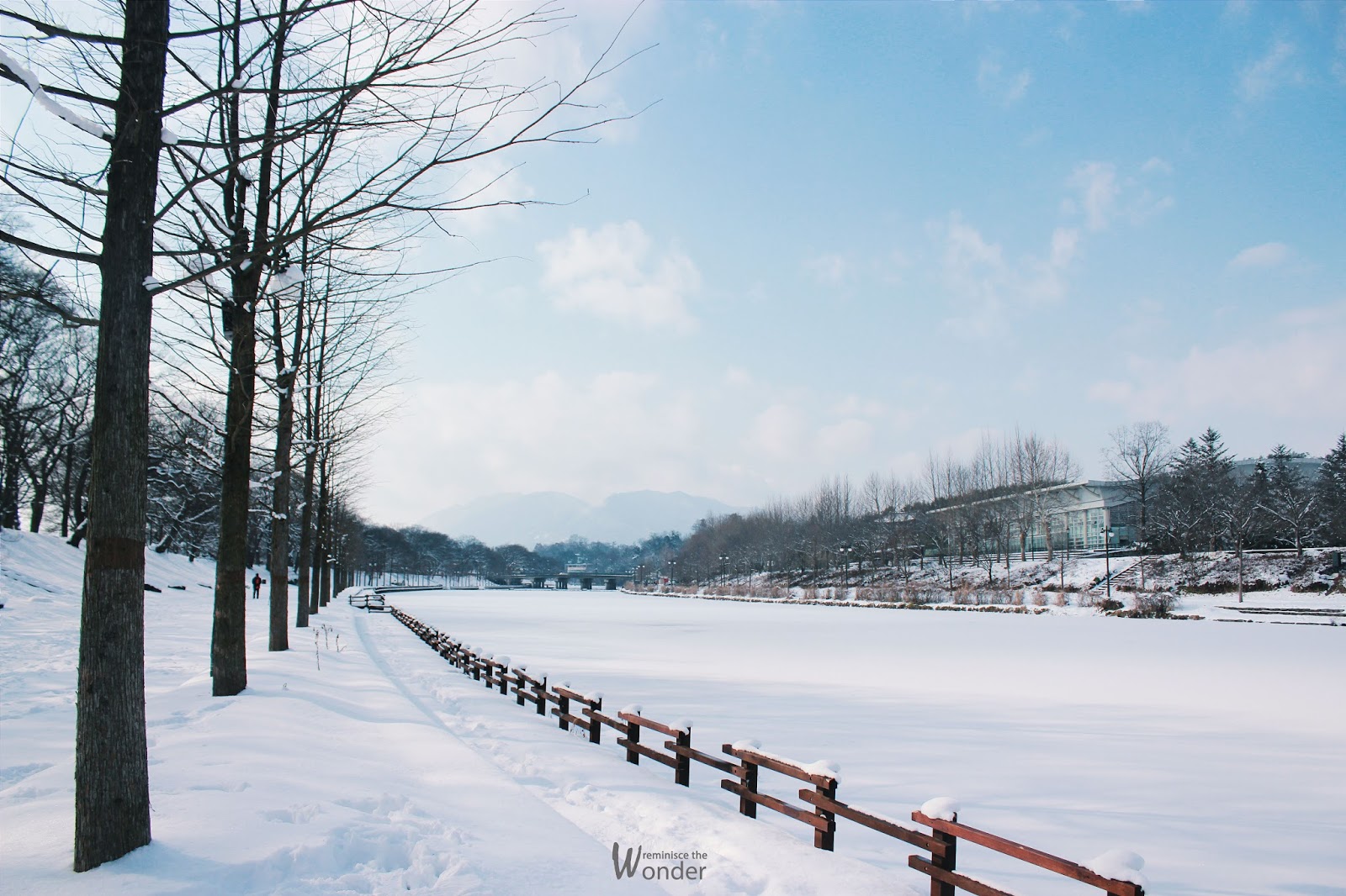 Winter Wonderland in Damyang Pt. 3 - Gwanbangjerim Forest (관방제림 ...