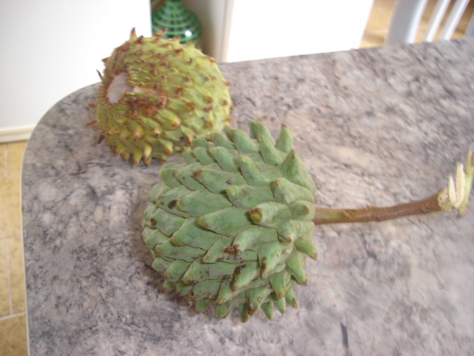 Planeta e Vida: Ata...não ata é a fruta doo conde