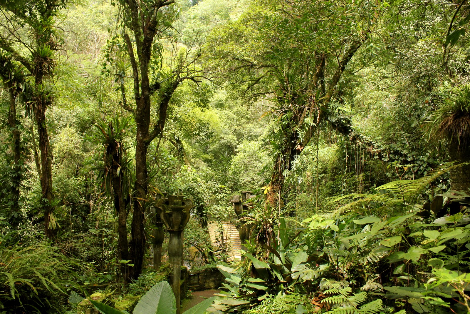 A Donde Fueres, Haz Lo Que Vieres: "Conoce y Disfruta Parte de la ...