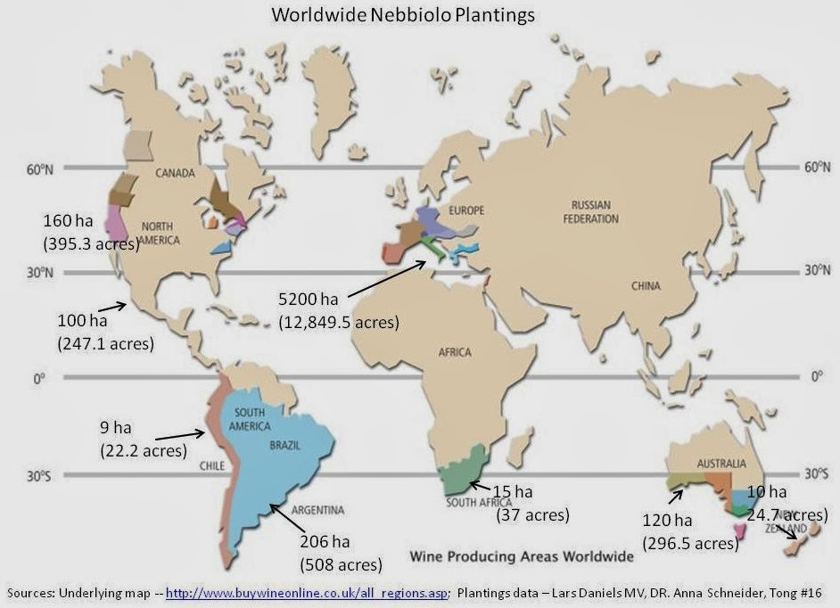 Wine -- Mise en abyme: Mapping Nebbiolo