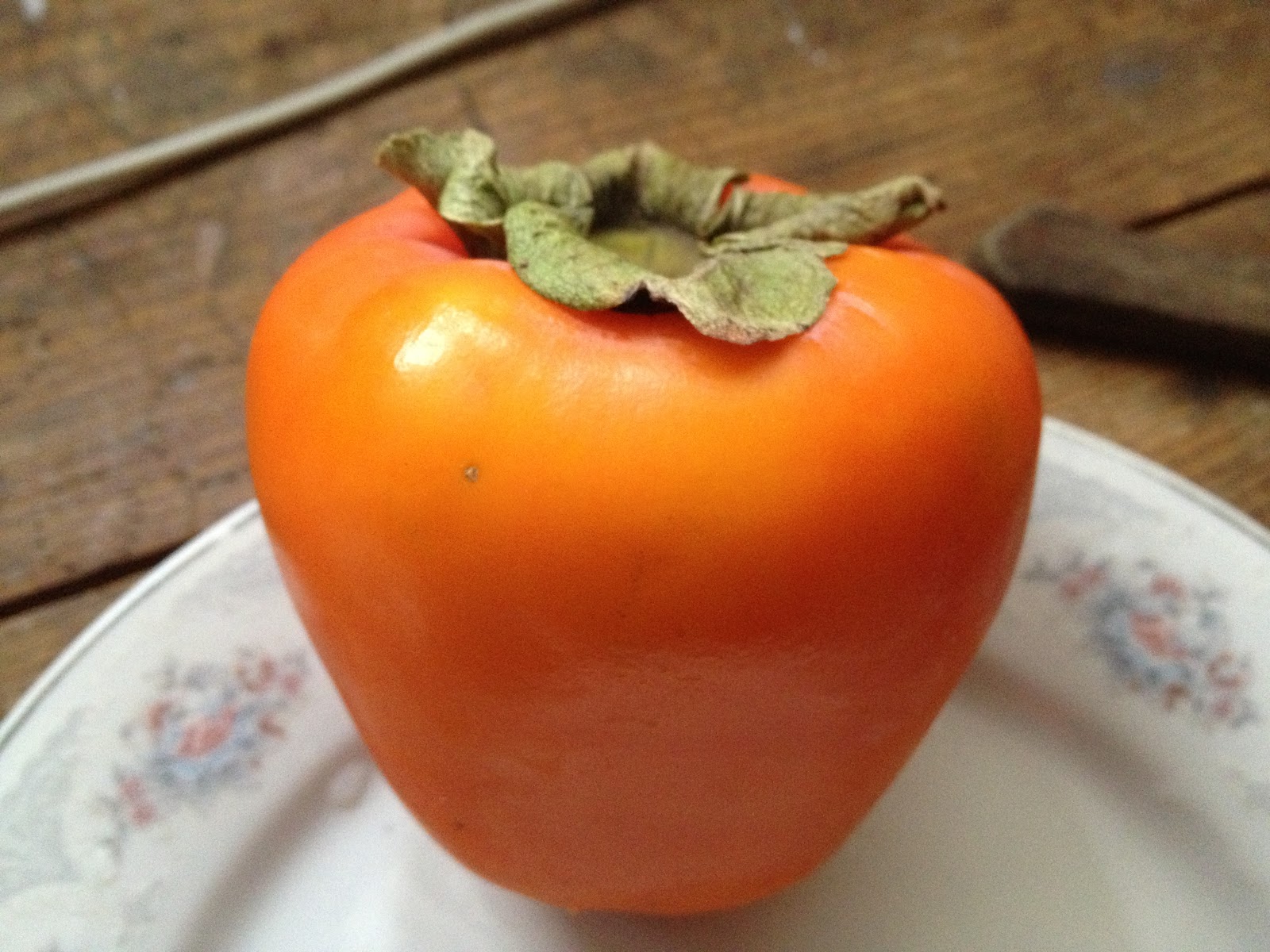 Gastronomía insólita V | La niña de las sombras