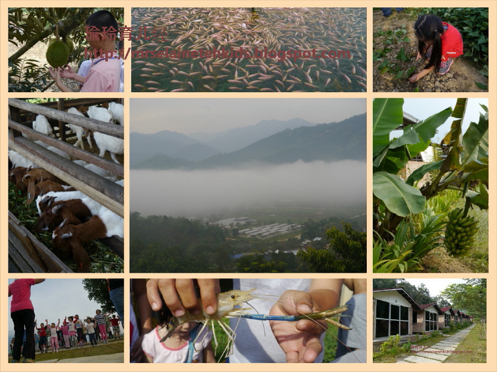 瑜玲育儿经 (Elaine Teh): GY Happy Farm Bentong 文冬丰收开心农场 ~ 两天一夜游