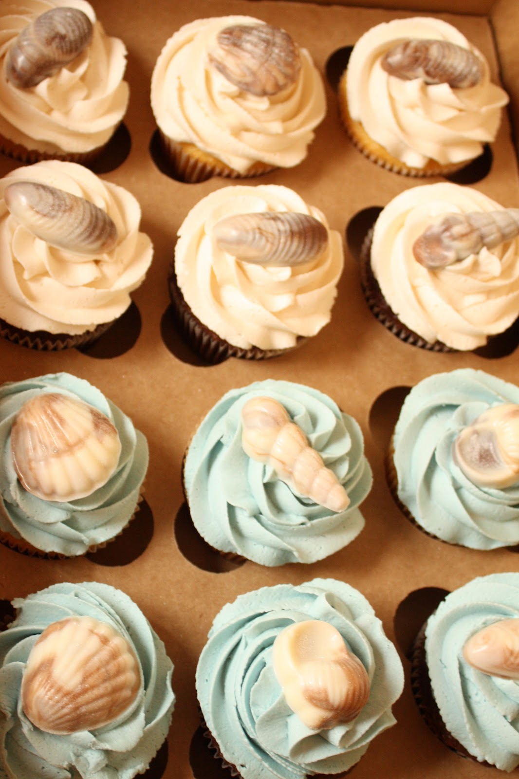 Kake: Chocolate Seashell Cupcakes