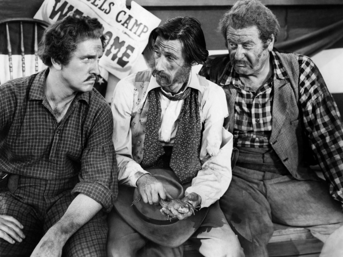 Laura's Miscellaneous Musings: Tonight's Movie: The Adventures of Mark ...