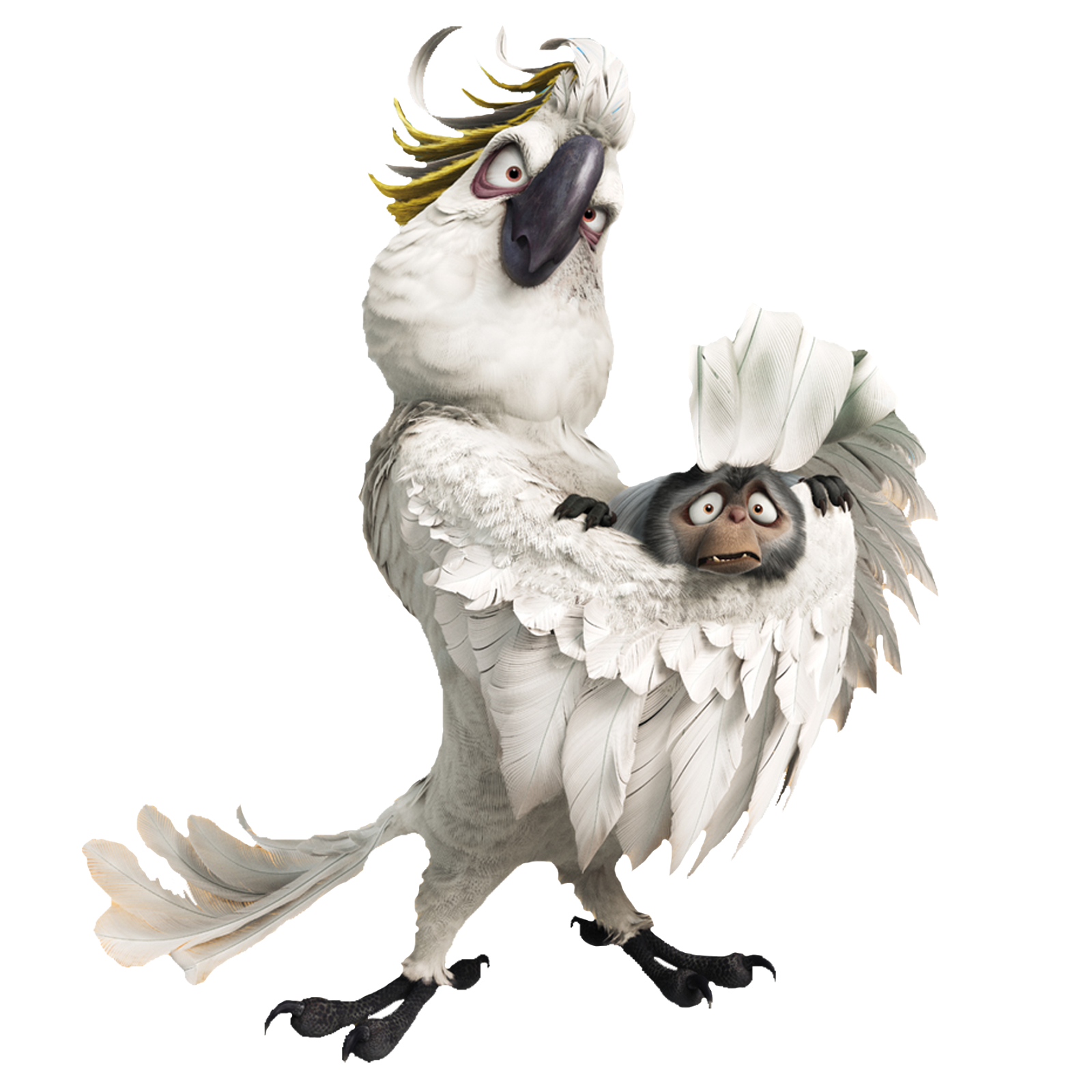 Free RIO Clipart Images Digital Clip Art PNG Download Graphics - Clip ...