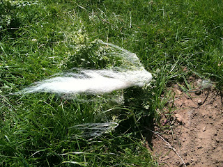 Using gathered wool to make felt | Creative STAR Learning | I'm a ...