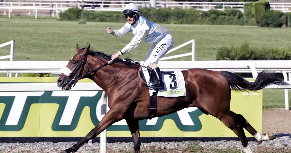 Italiani a stelle e strisce: Biz The Nurse esportato in America, sarà ...