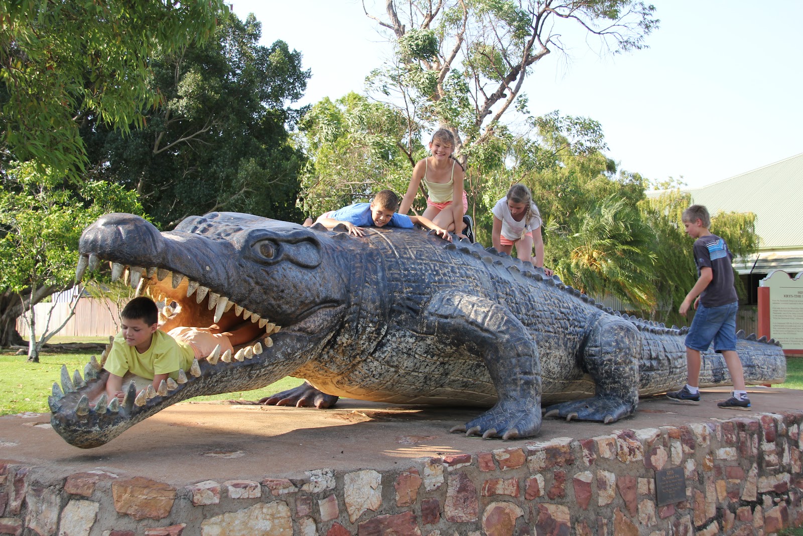 All these cute alligator photos got me thinking....Meet an Australian ...