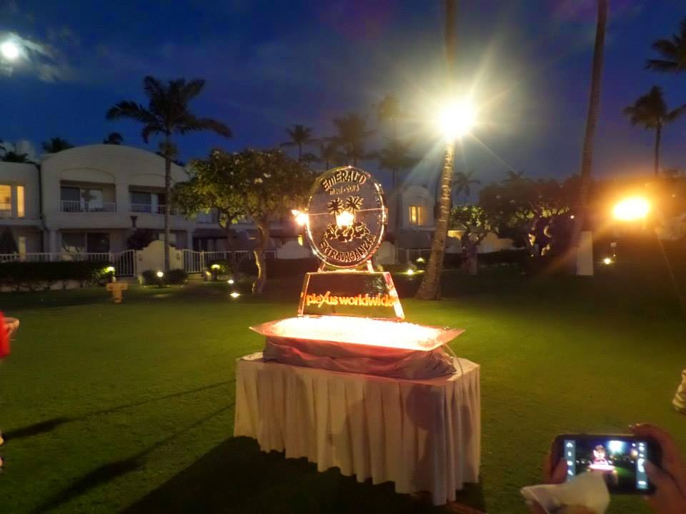 Plexus Slim Australia: Flash Back - Emerald Extravaganza 2013