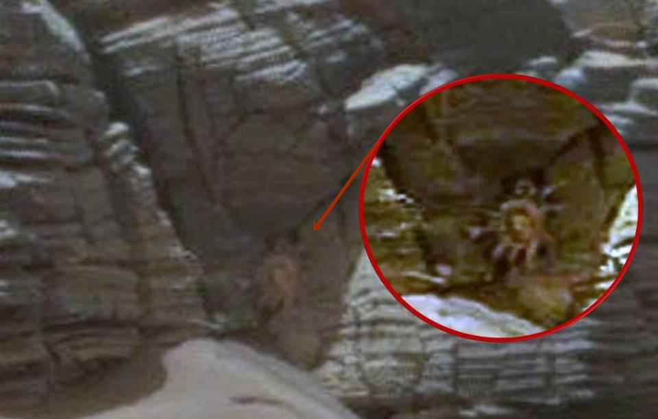 Serpent 'Sun God Symbol' Photographed by Curiosity Mars Rover