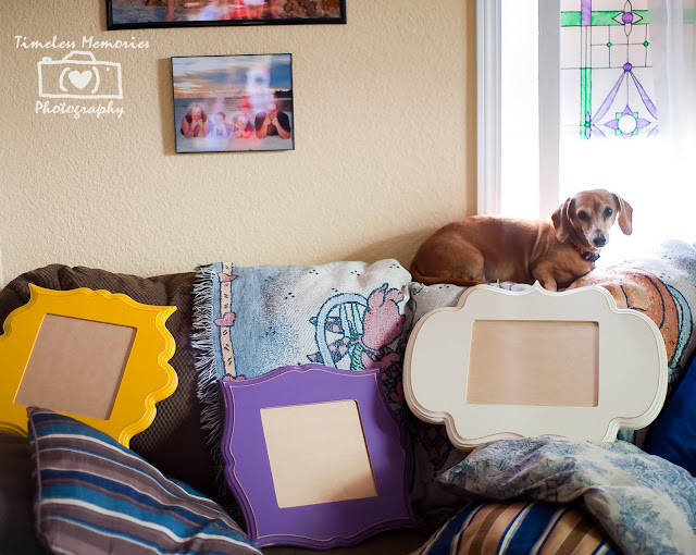 Timeless Memories Photography by Dan & Tanya Downs: The Organic Bloom ...