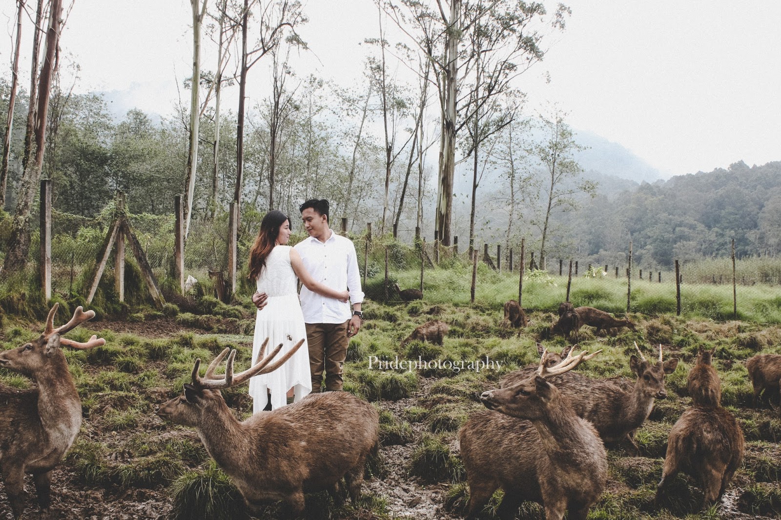 Pride Photography: Prewedding Konsep Natural Indra & deasy ( Ciwidey ...