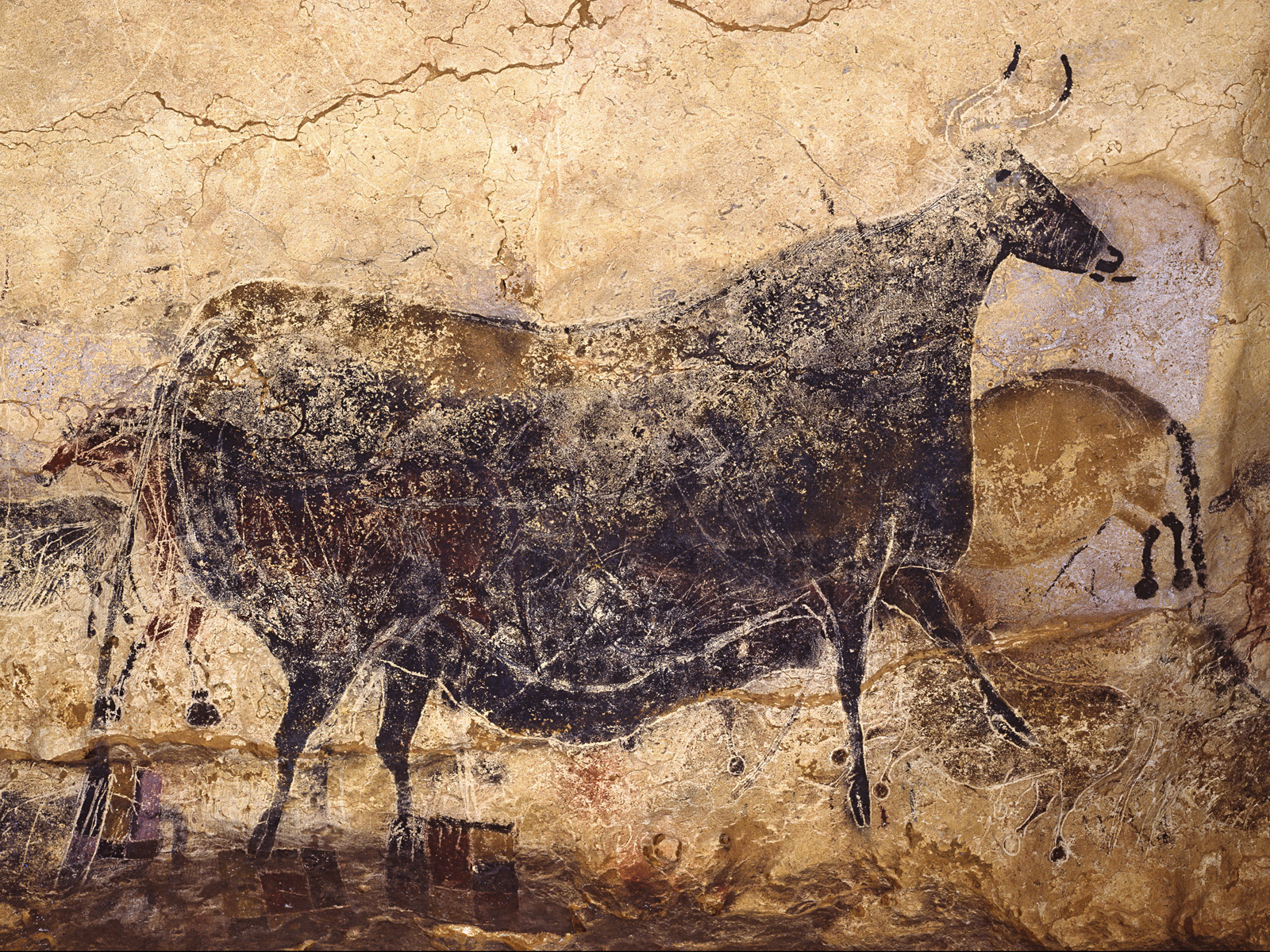 MY MAGICAL ATTIC: LASCAUX IV: THE INTERNATIONAL CENTRE FOR CAVE ART BY ...
