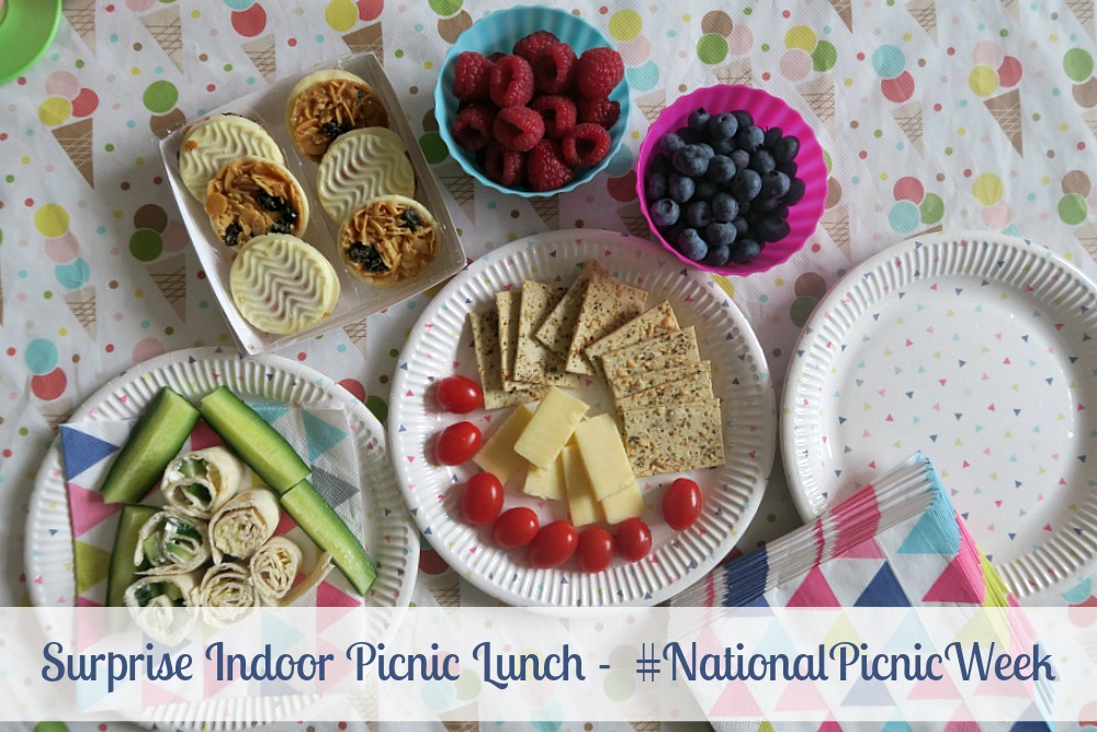 Surprise Indoor Picnic Lunch - National Picnic Week | LadyBug Home and ...