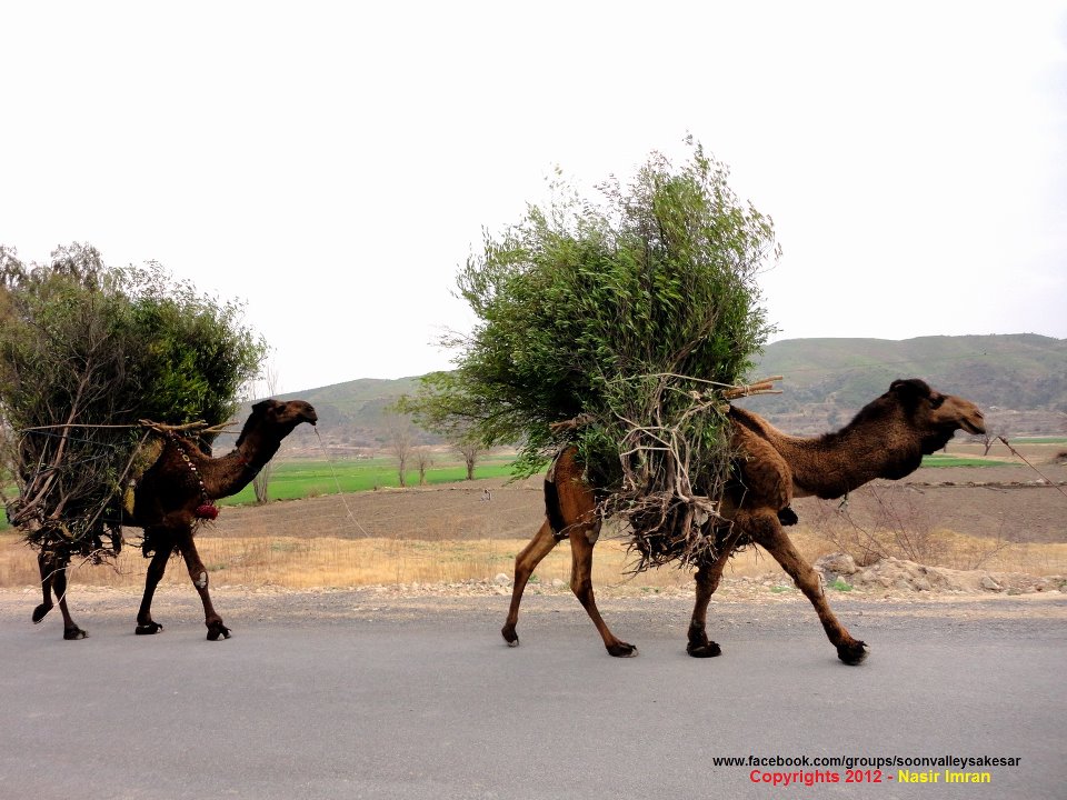 Download Free HD Wallpapers and Photos: Soon Valley Sakesar Khushab