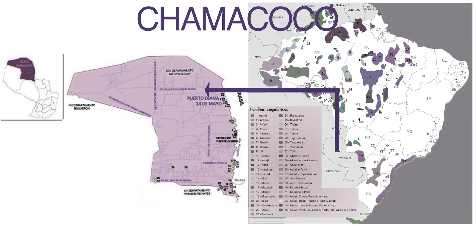 Povos Indígenas Brasileiros: Chamacoco