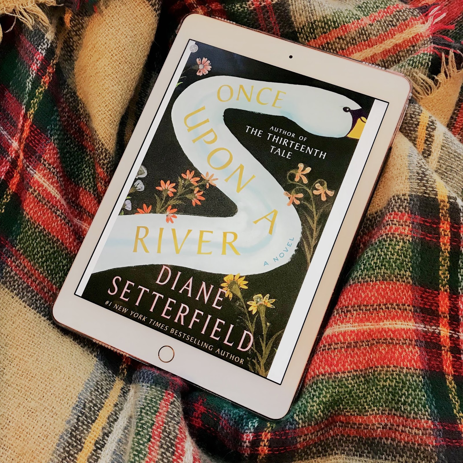 Once Upon a River by Diane Setterfield (NetGalley Review) ~ Born and ...