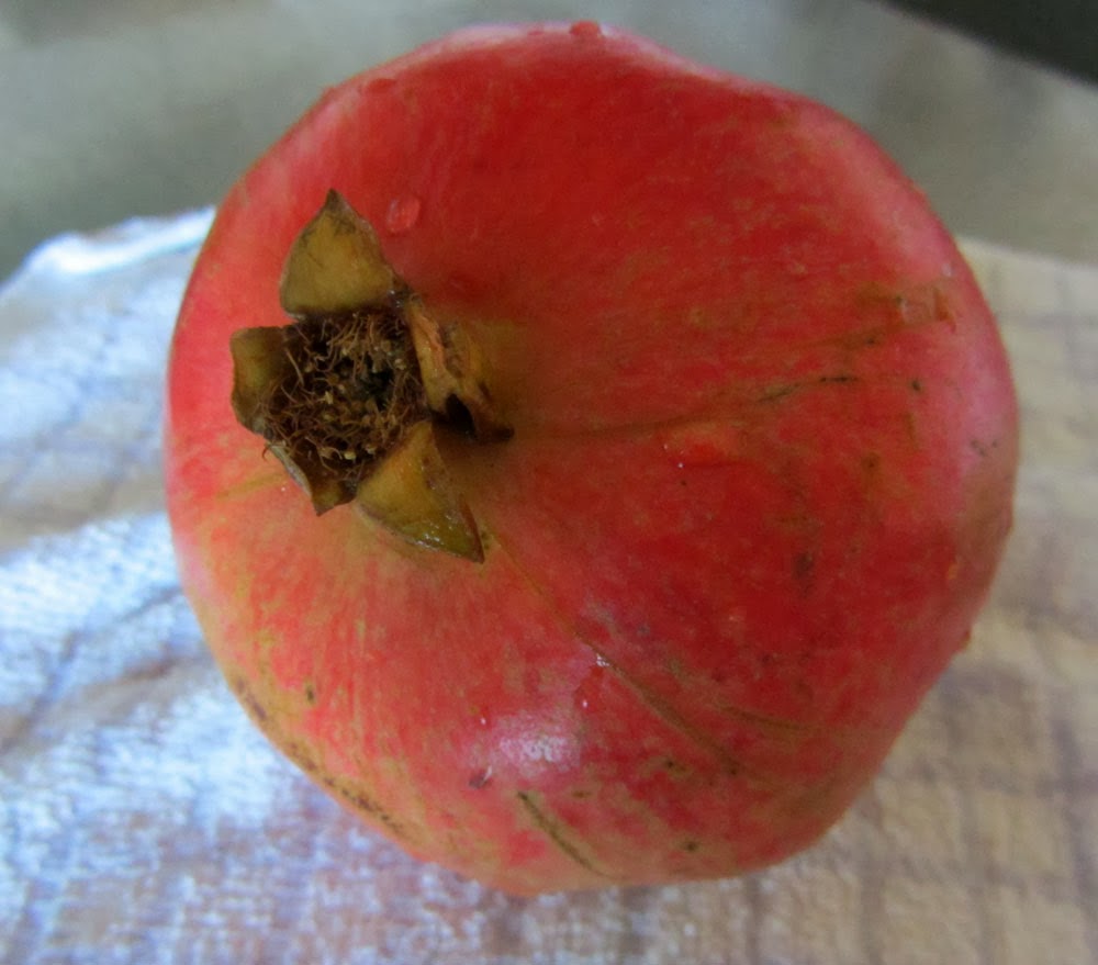 Naturligt vis: Granatäpple