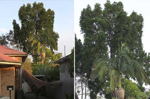 Nothing To Do With Arbroath: 29 Sept 2013