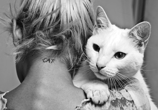 Catsparella: Cat Loving Model Shows Kitty Pride in Stylestalker Fashion ...