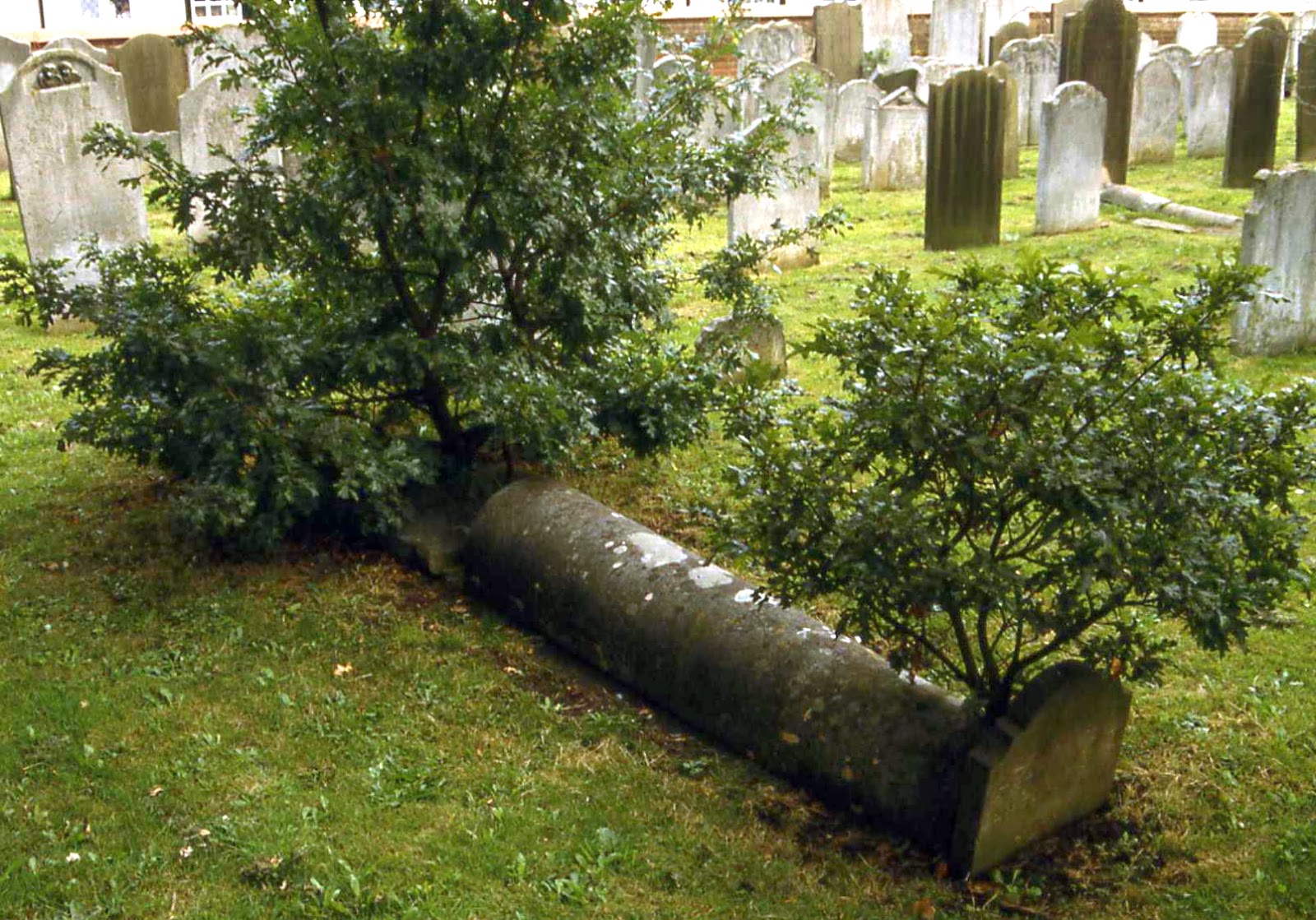 Roy's blog: October 2013