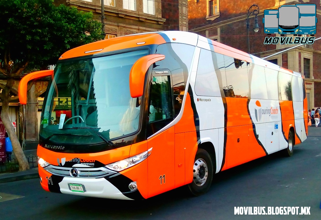 Las mejores cromáticas de autobuses en México