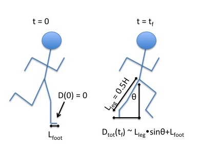 running commentary?: Fun with Physics, part 2: foot impact forces