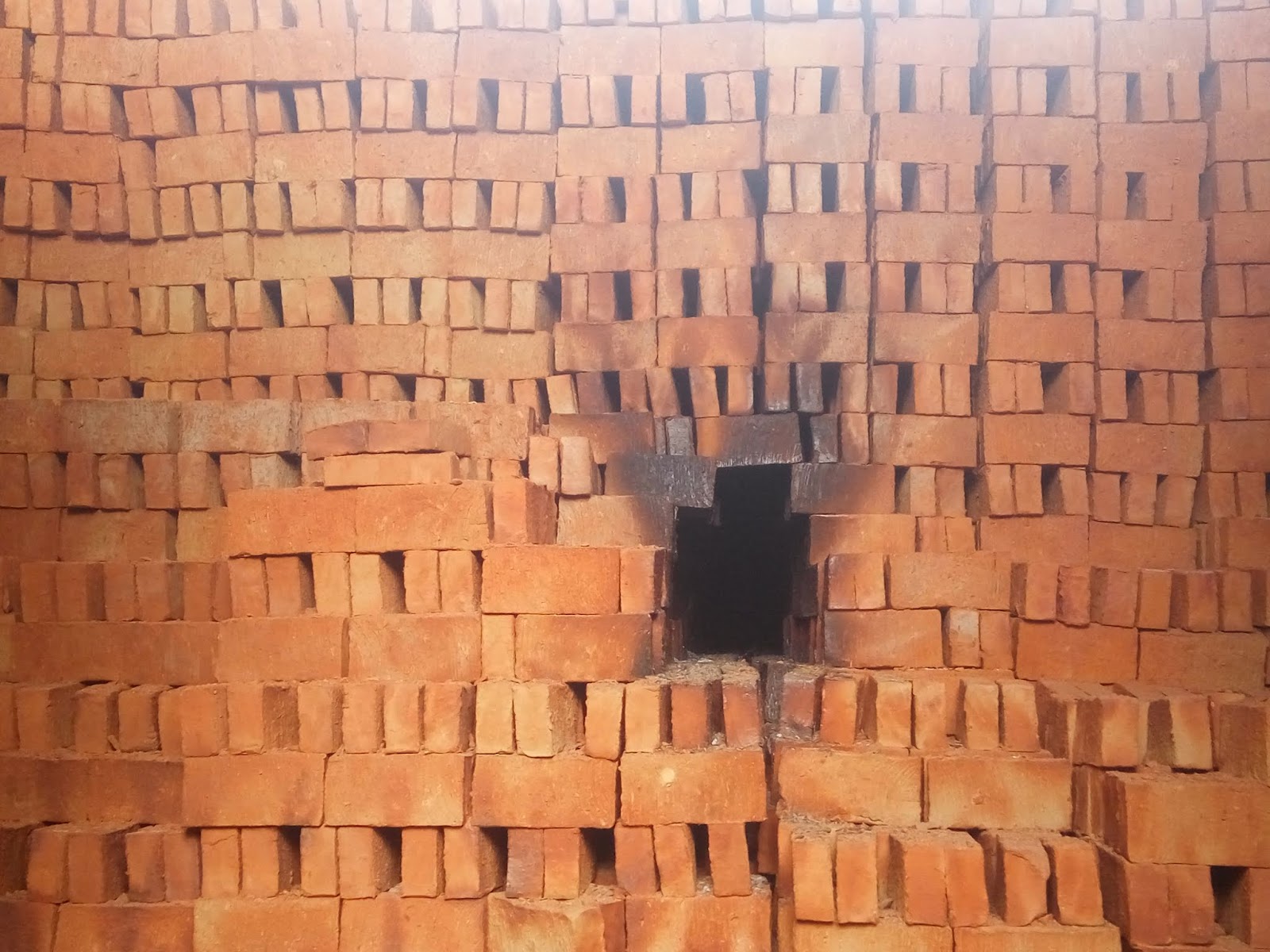 Jual Bata Merah JUMBO SUPER di Serang Banten | 0877-7939-8498 | CV ...