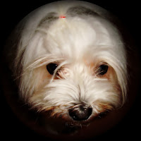 APRENDER A PROGRAMAR CON PYTHON: GENERATORS