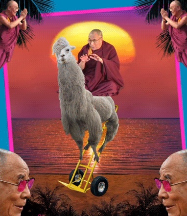 The Monkey Buddha: The Dalai Lama on a Dolly Llama