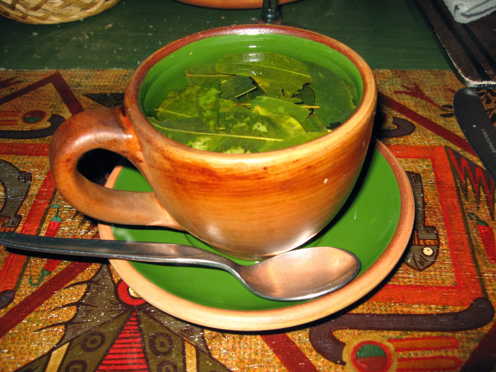 Adolfo Mendoza Leigue: Productores de coca saludan aprobación de ley ...