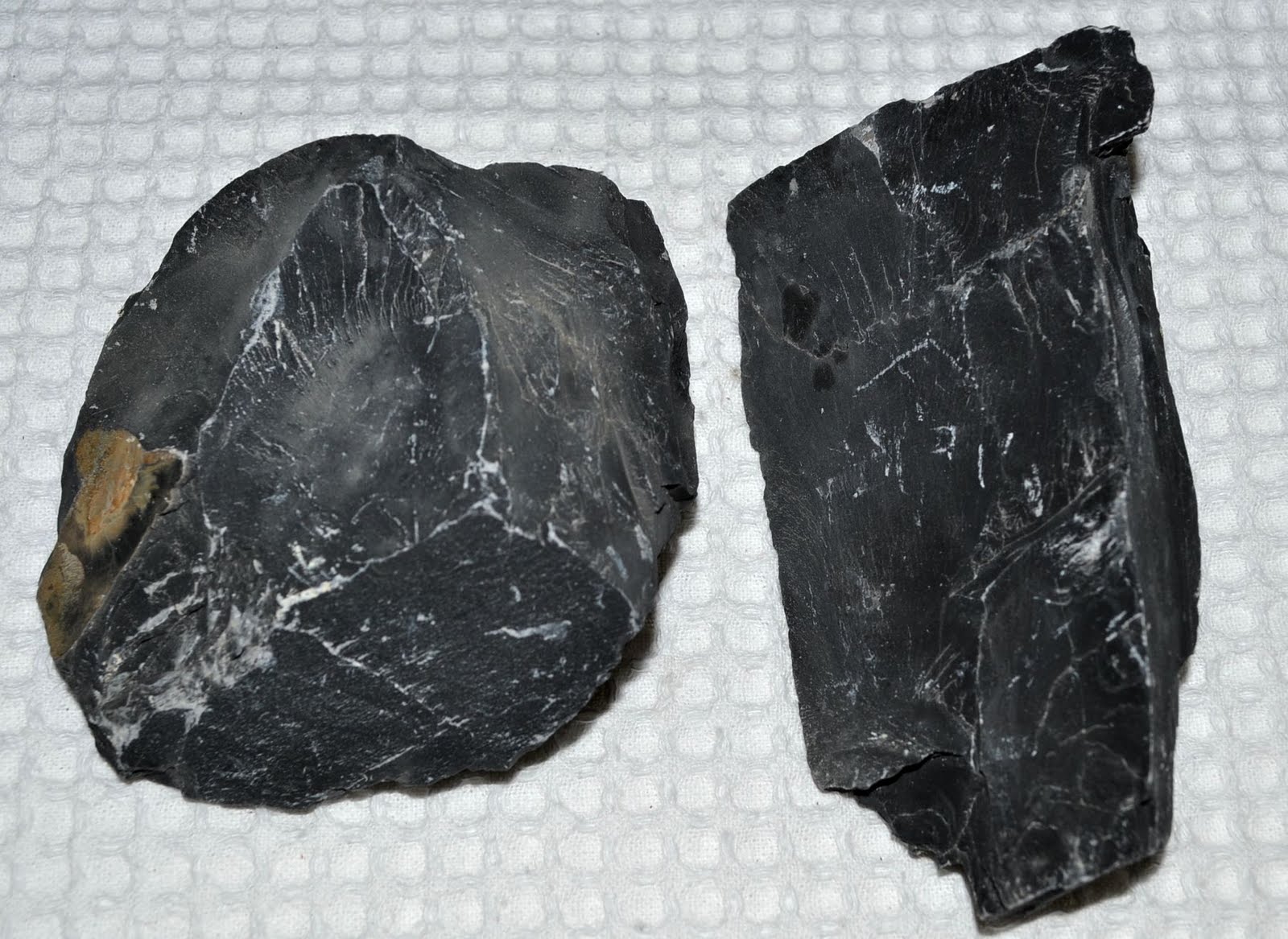 JILEANUL: Roci din zona Somova, jud. Tulcea