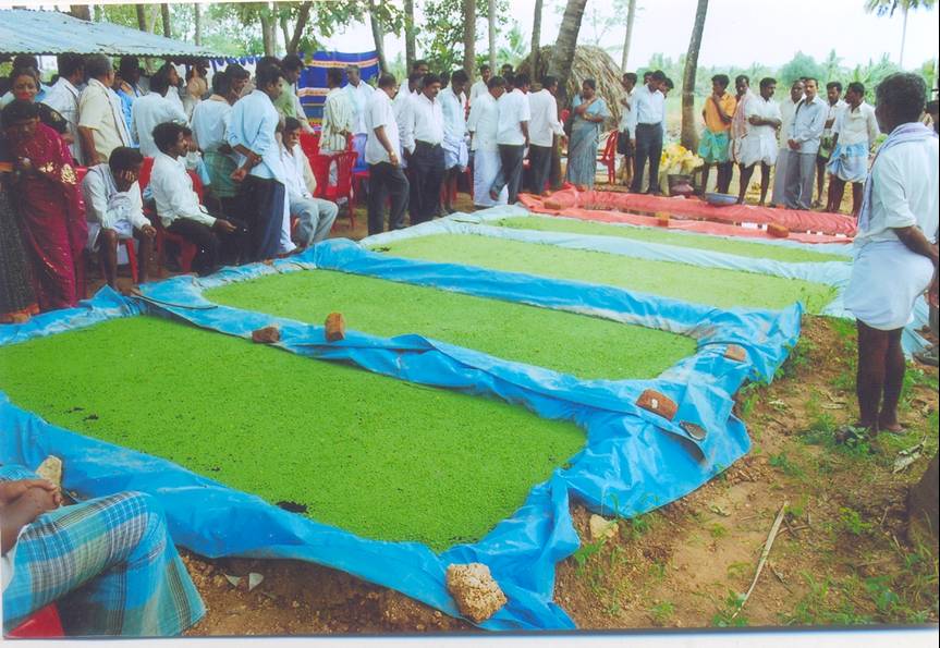 Odyssey on a pen: Ajola become boon for farmers involved in dairy farming