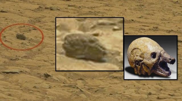 Alien Helmet or Skull and Tiny Alien spotted on Mars?